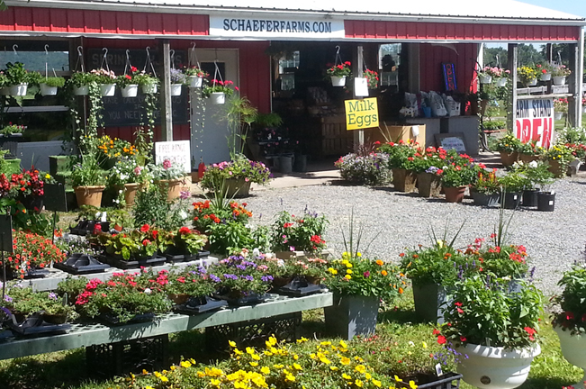 Schaefer Farms | Hunterdon County, New Jersey